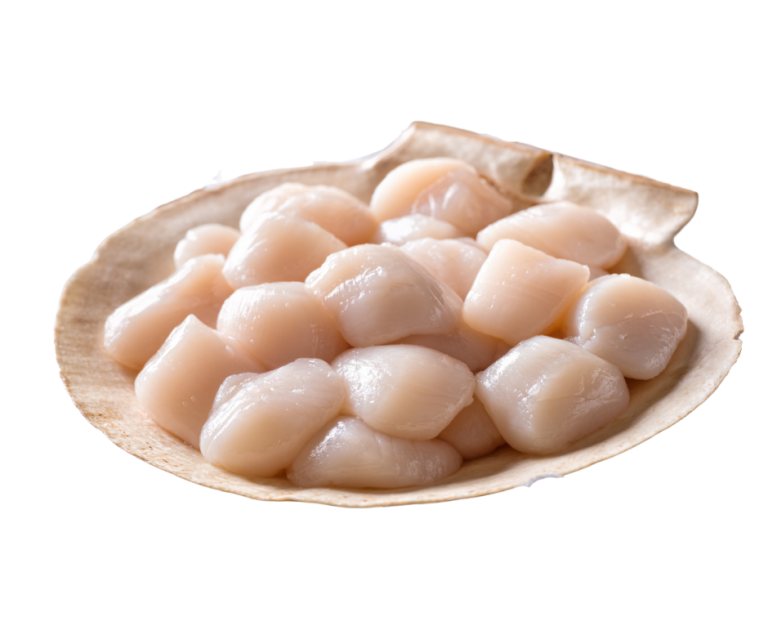 Callo de Hacha Garra de León - AAA Seafood